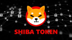 SHIBと提携したZAMAの完全準同型暗号（FHE）とは？影響や活用法をCEOが解説 – 仮想通貨ニュースメディア ビットタイムズ